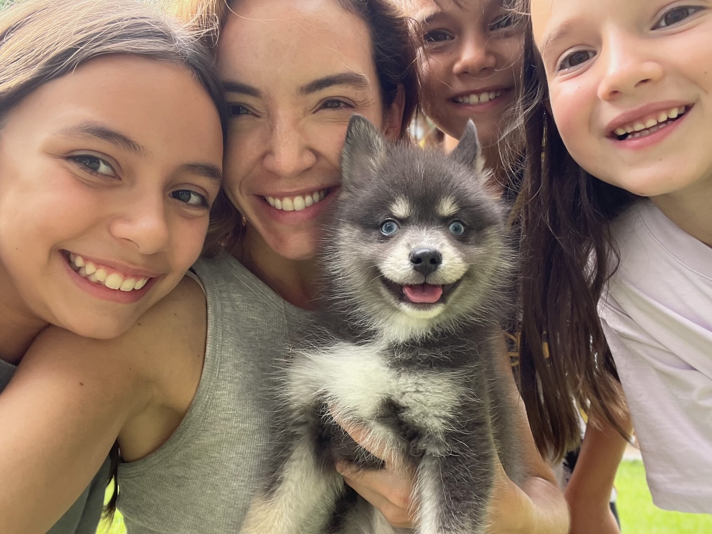 Siberian Husky Welpen & Pomsky Welpen zu verkaufen | Zion Husky ...